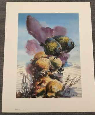 Rare, Vintage Print, "French Angelfish," By Russ Smiley, Miami, Florida ...