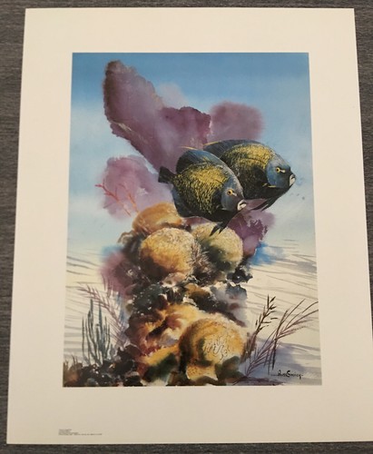Rare, Vintage Print, "French Angelfish," By Russ Smiley, Miami, Florida ...