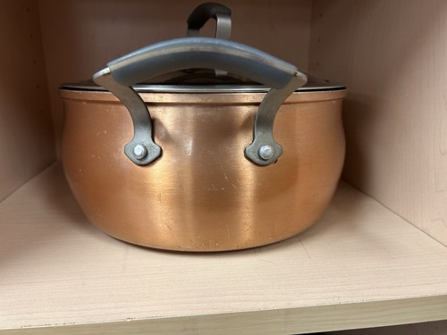 5QT Epicurious Pot With Lid Copper Color Sides | eBay