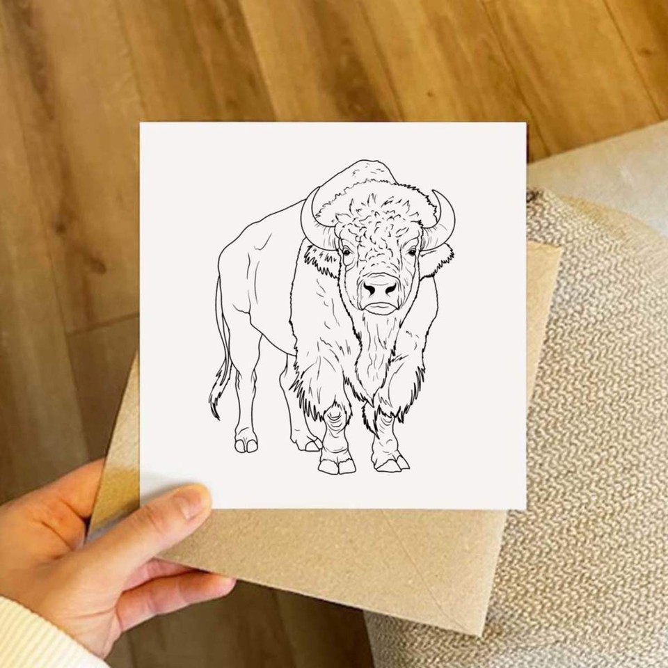 'Wild Bison' Greeting Cards (GC053609) | eBay