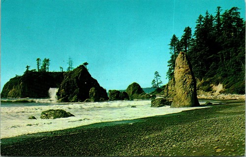 Pacific Ocean Beach WA Ruby Beach Postcard unused (19079) | eBay