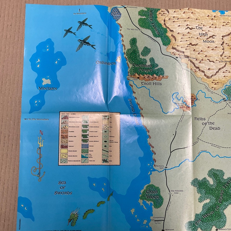 Dungeons & Dragons Forgotten Realms MAP ONLY 1085xxx0703 From Boxed Set ...
