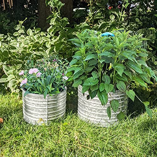 1½ Gallon and 1 Gallon Ribbed Galvanized Metal Flower Pots for Indoor ...