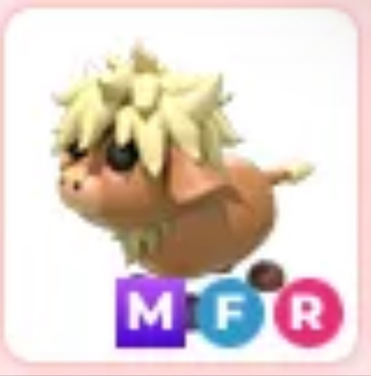 Adopt A Pet from Me - MFR Highland Cow *FAST DELIVERY* Mega Neon Fly ...