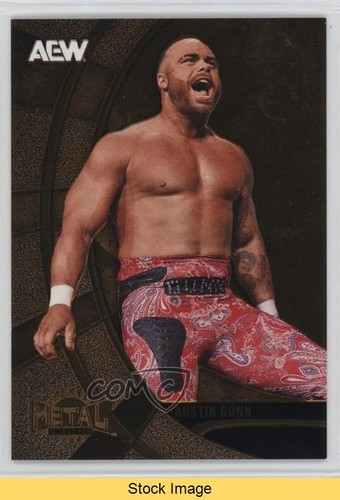 2025 Skybox Metal Universe AEW All Elite Wrestling Austin Gunn #29 READ ...