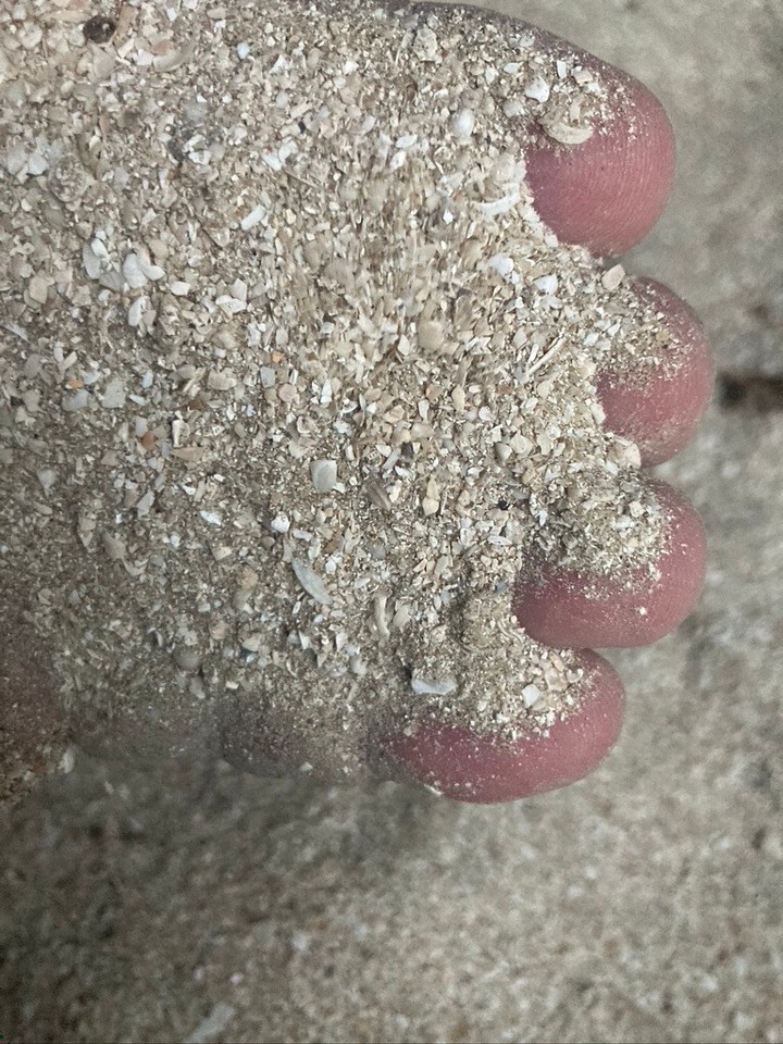 ALL NATURAL fine Calcium Grit for Finches Parakeets Doves 1 FULL QUART ...