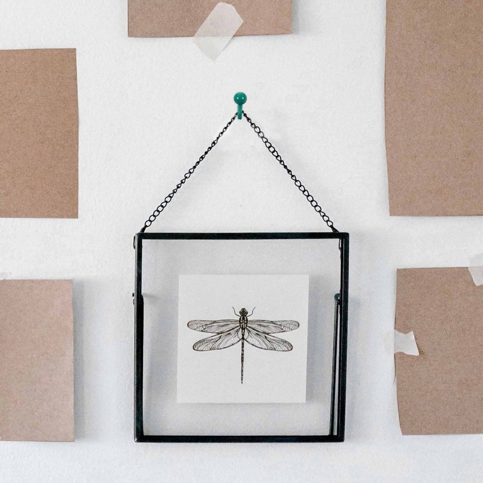 2 Boxes Hook Tacks Bulletin Push for Wall Hanging Decorative Pushpins ...