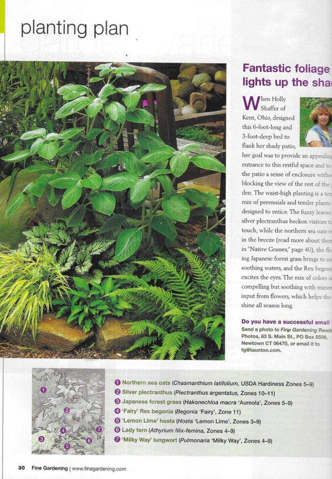 Fine Gardening Magazine High Impact Combo Plants Tight Space Trees Rain ...