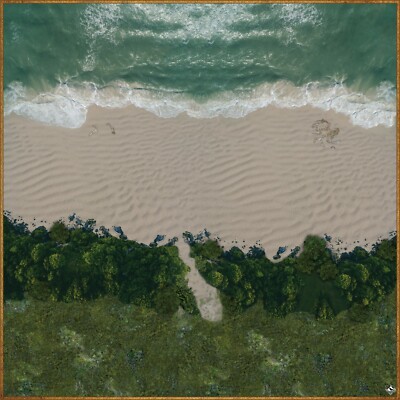 Beach with Forest Cut Through 36"x36" Battle Mat - D&D Pathfinder 28mm ...