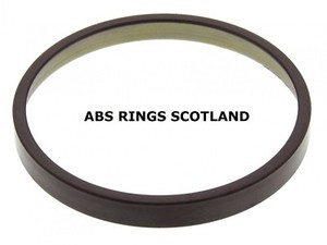 MAGNETIC ABS SENSOR RING FOR CITROEN C3 C4 REAR Discs Only | eBay