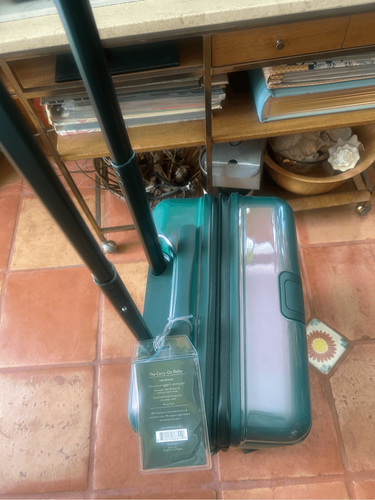 NWT Beis x Wicked Carry on Roller Luggage Suitcase in Wicked Green | eBay