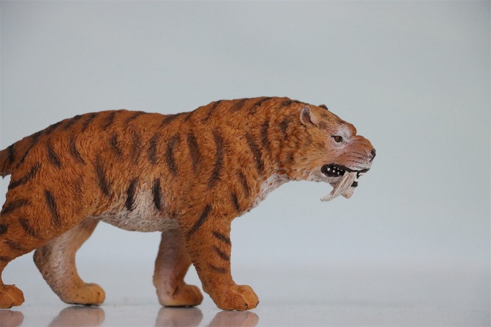 TNG Machairodus Smilodon Model Saber-toothed Tiger Animal Figure Toys ...