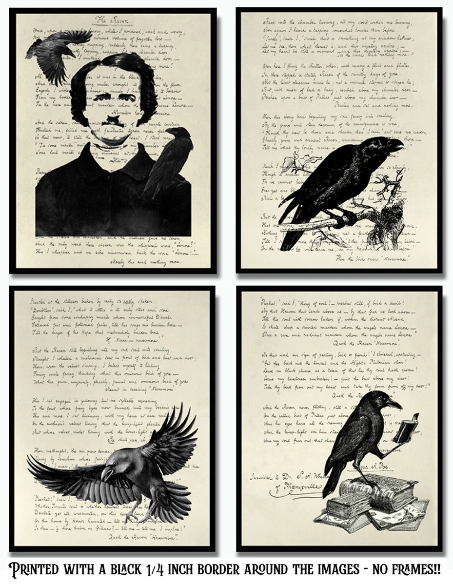 Edgar Allan Poe Drawing Raven