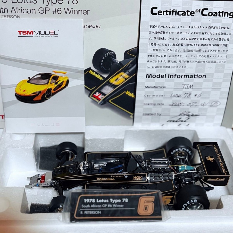 Decal Processed 1 18 TSM Lotus 78 Ronnie Peterson 1978 South Africa GP ...