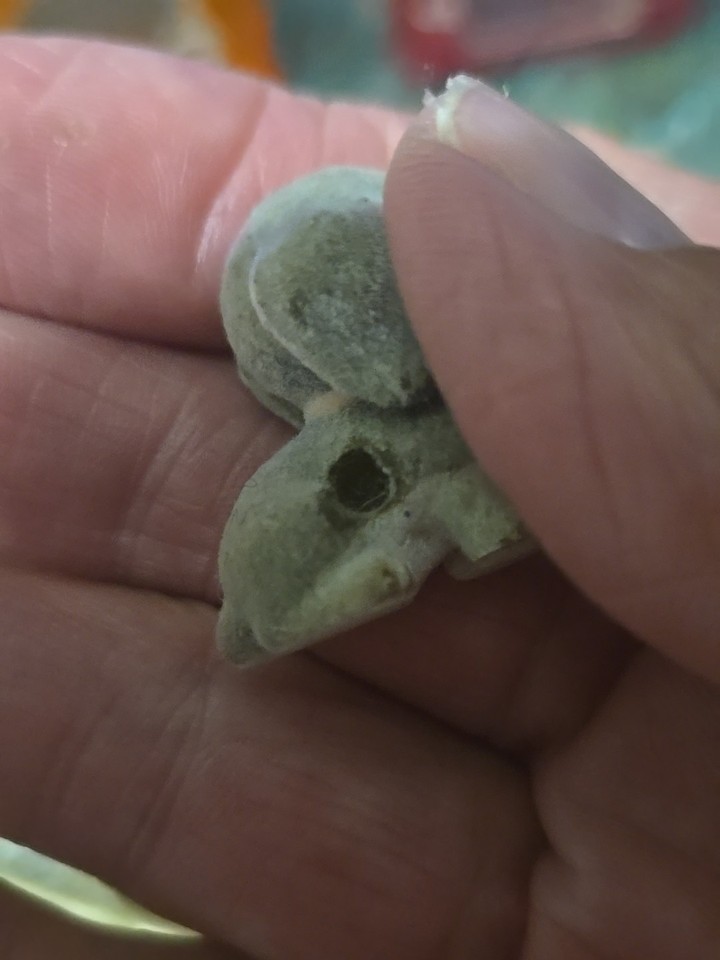 Puppy In My Pocket? Jungle In My Pocket? Pony In My Pocket? Jewelry ...