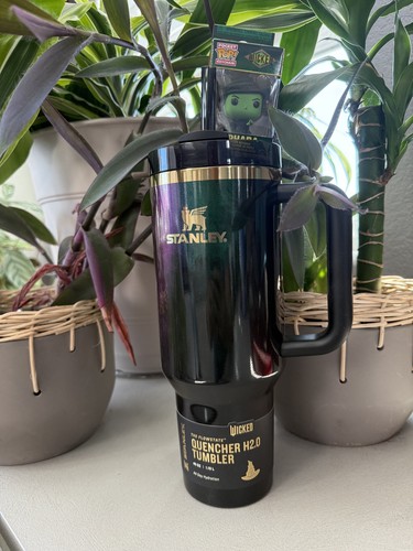 💚Stanley X Wicked 2025 Elphaba For Good 40oz Tumbler Target Exclusive ...