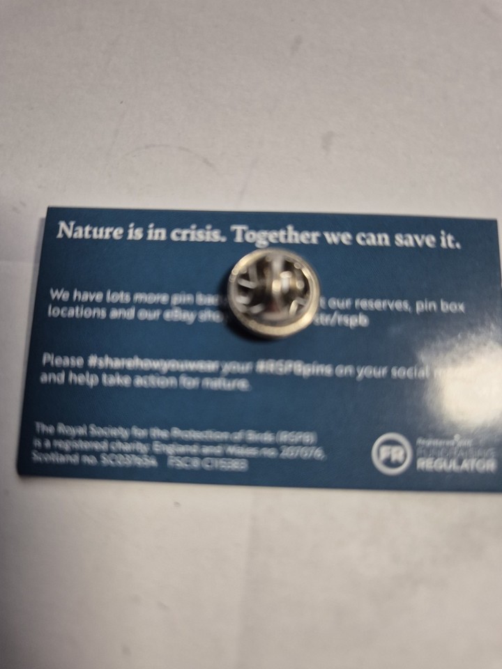 Rspb International Birdlife pin badge Eurasian Scops Owl | eBay UK