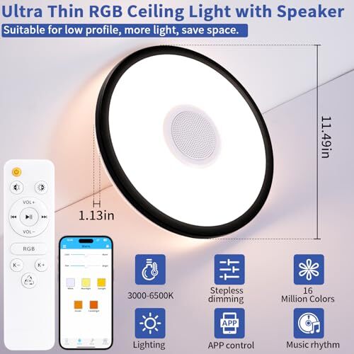 LED Ceiling Light Fixture with Bluetooth Speaker, 12Inch 24W 3000K ...