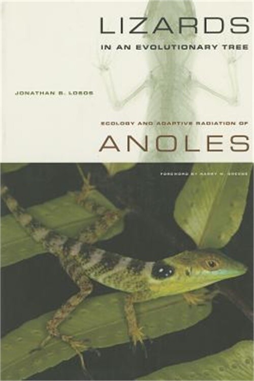 Lizards in an Evolutionary Tree: Ecology and Adaptive Radiation of ...