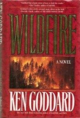 Wildfire - Hardcover By Goddard, Kenneth W - GOOD 9780312854249| eBay