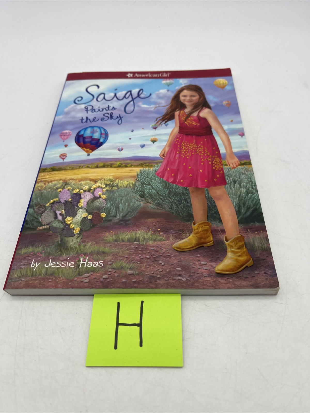 Saige Paints the Sky by Jessie Haas (2012, Trade Paperback ...