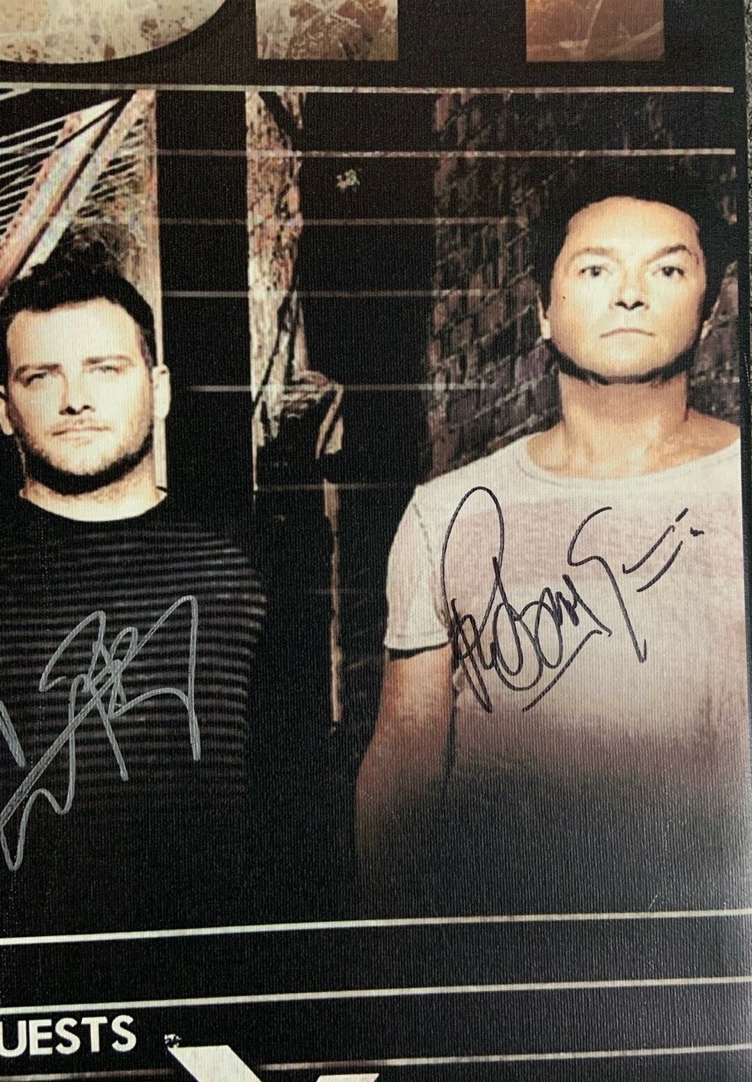 Bush JSA Signed Autograph Canvas Full Band Poster Gavin Rossdale | eBay