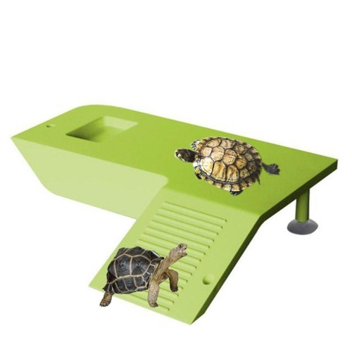 Turtle Habitat Reptile Floating Island Turtle Ladder Turtle Basking ...