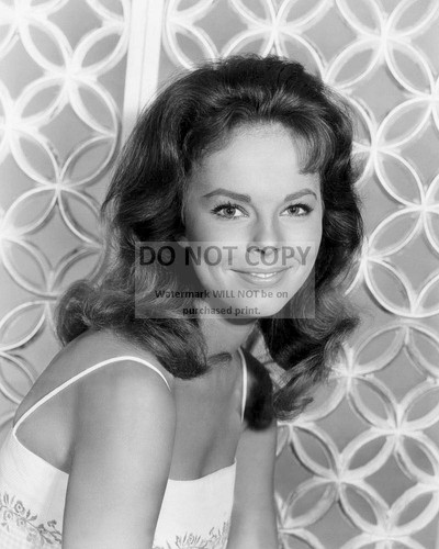 ACTRESS ANNE HELM - 8X10 PUBLICITY PHOTO (BT214) | eBay