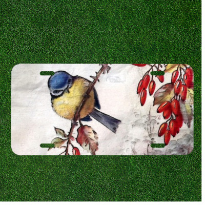 Custom Personalized License Plate Auto Tag With Amazing Bird On Branch ...