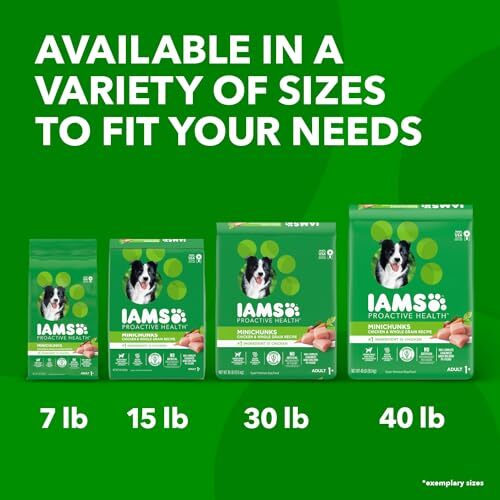 IAMS Adult Minichunks Small Kibble High Protein Dry Dog Food Real ...