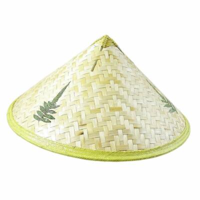 Chinese Oriental Farmer Cone Garden Fishing Bamboo Woven Fishing Cap ...