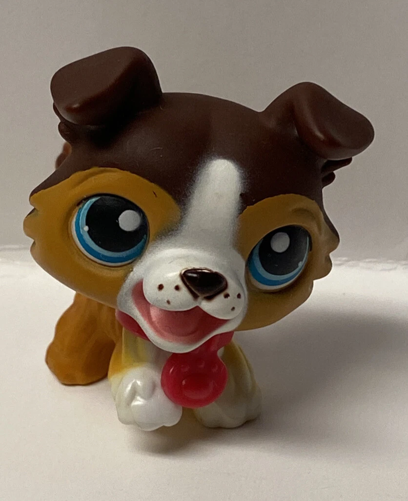 Anime Lps Collie