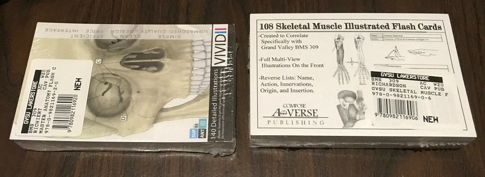 2 New Flash Card Sets: SPI BONES 165 Vivid Color & Skeletal Muscle ...