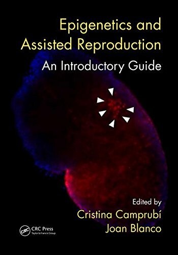 Epigenetics and Assisted Reproduction: An Intro, Camprubi, Blanco** 9781138631632| eBay