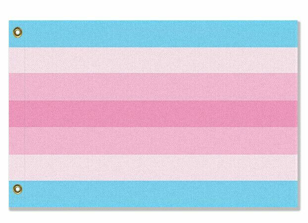 Transfeminine Pride Flag, Transgender LGBTQ LGBTQIA LGBTQX Trans Rights ...