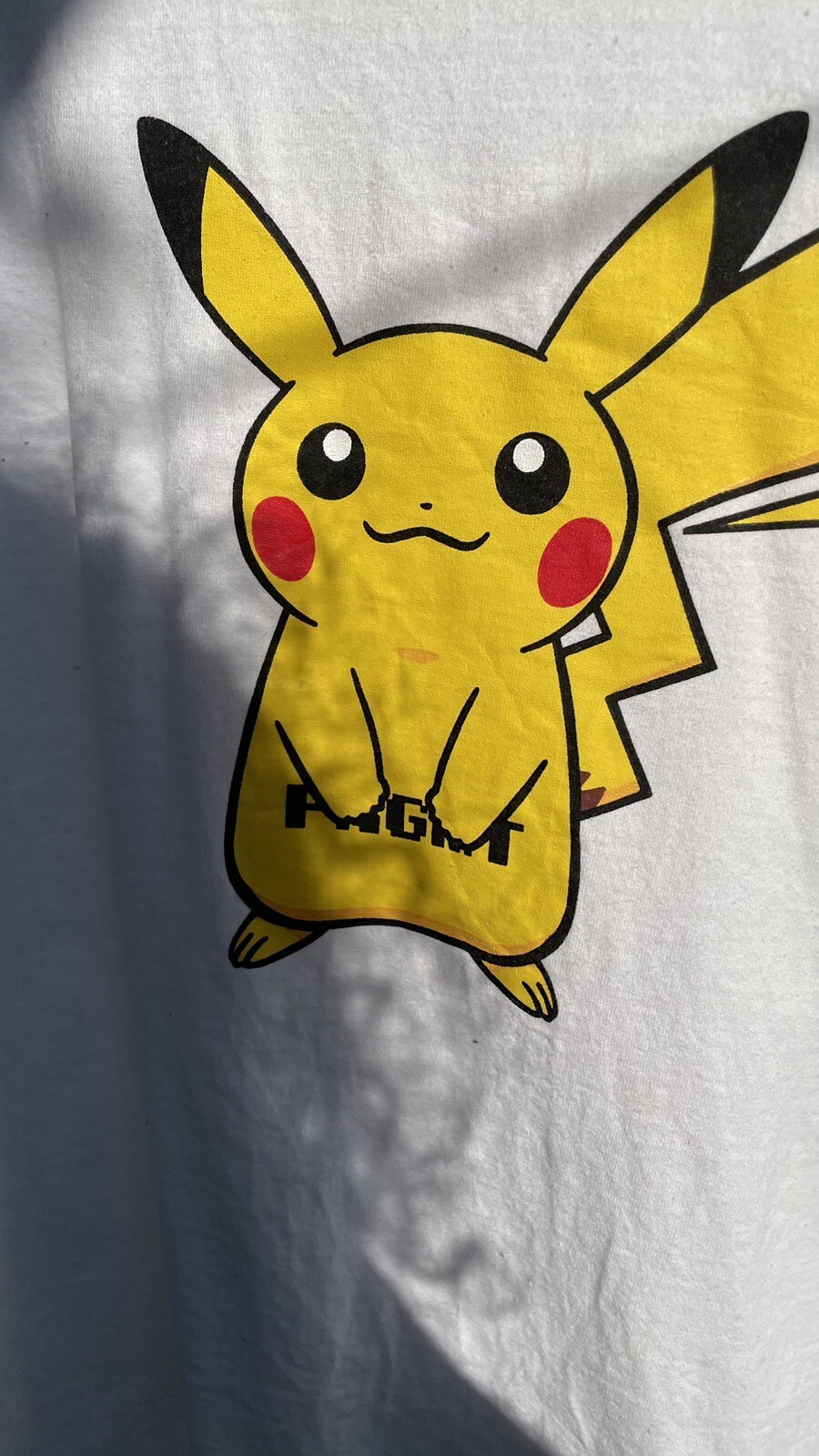 Fragment x Thunderbolt Project x Pokemon - Pikachu 2X… - Gem