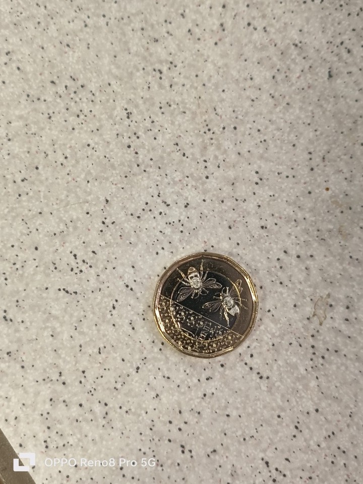 2025 £1 ONE POUND RARE LOW MINTAGE KING CHARLES UNC BEES COIN FROM A ...