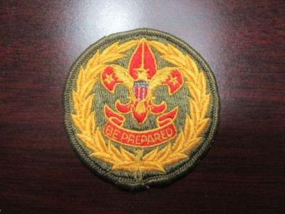 Assistant Field Scout Executive, District Executive Patch Rolled Edge ...
