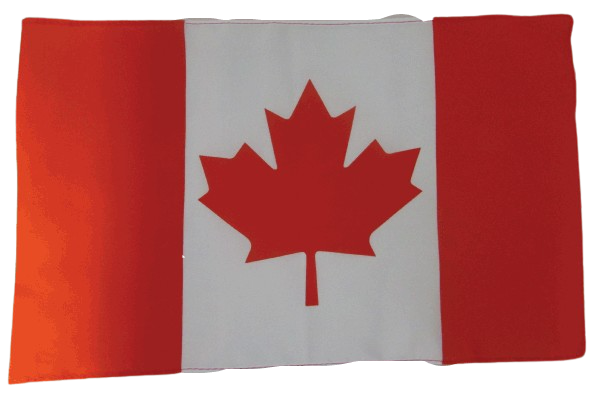 Courtesy Flag 1.5ft x 1ft Sleeved Polyester 180+ designs FREE P&P | eBay UK