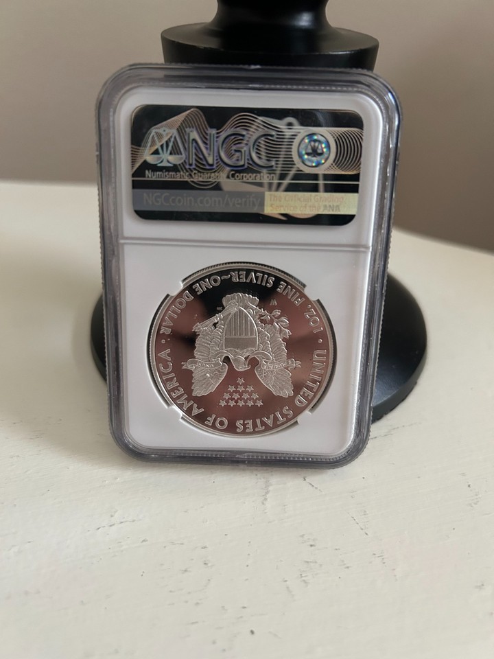 2013 W American Silver Eagle~PF 70 ULTRA CAMEO~NGC~6549510-020~Gorg! | eBay