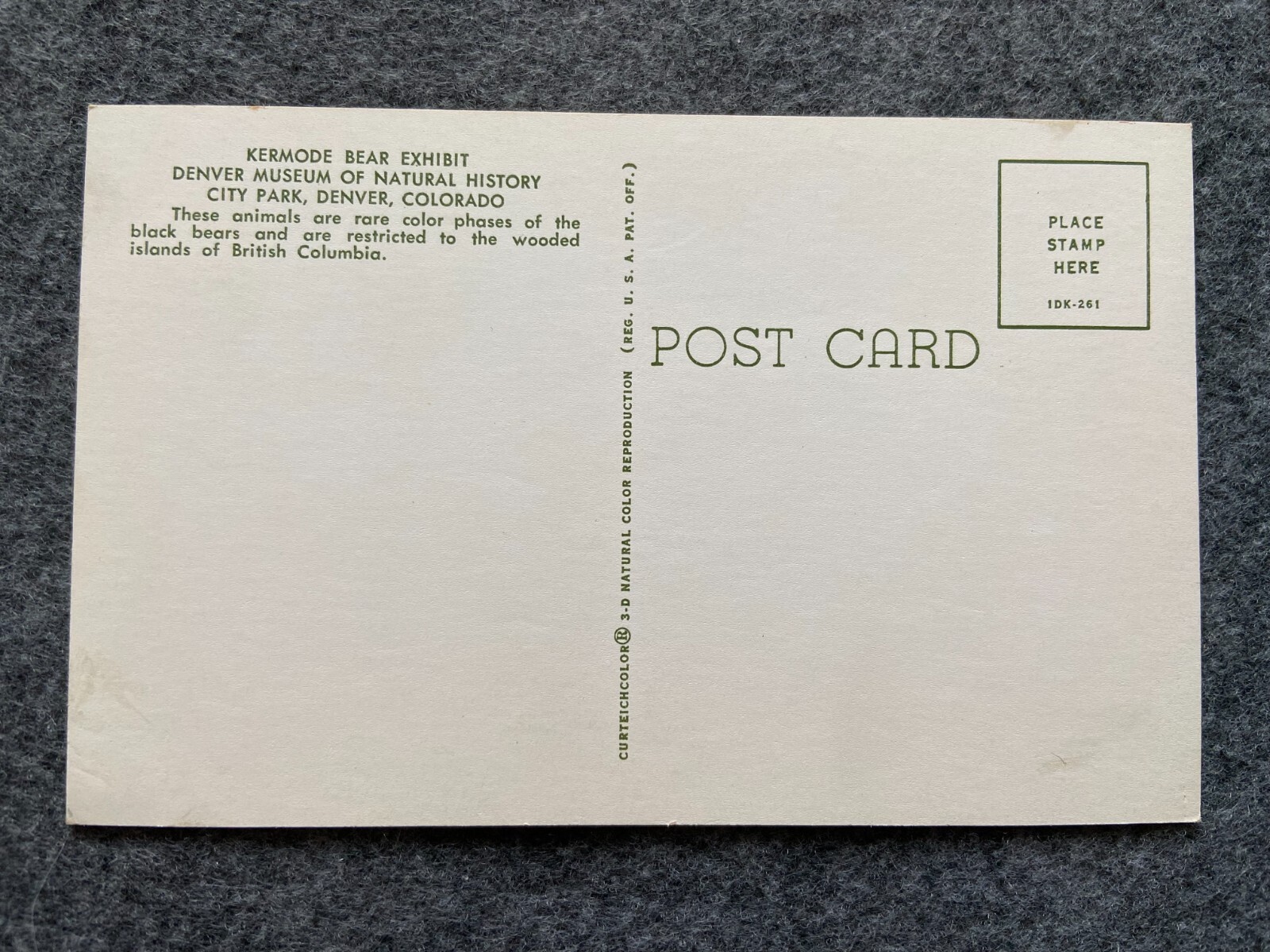 Kermode Bear Exhibit, Denver Museum in Colorado Vintage Postcard | eBay