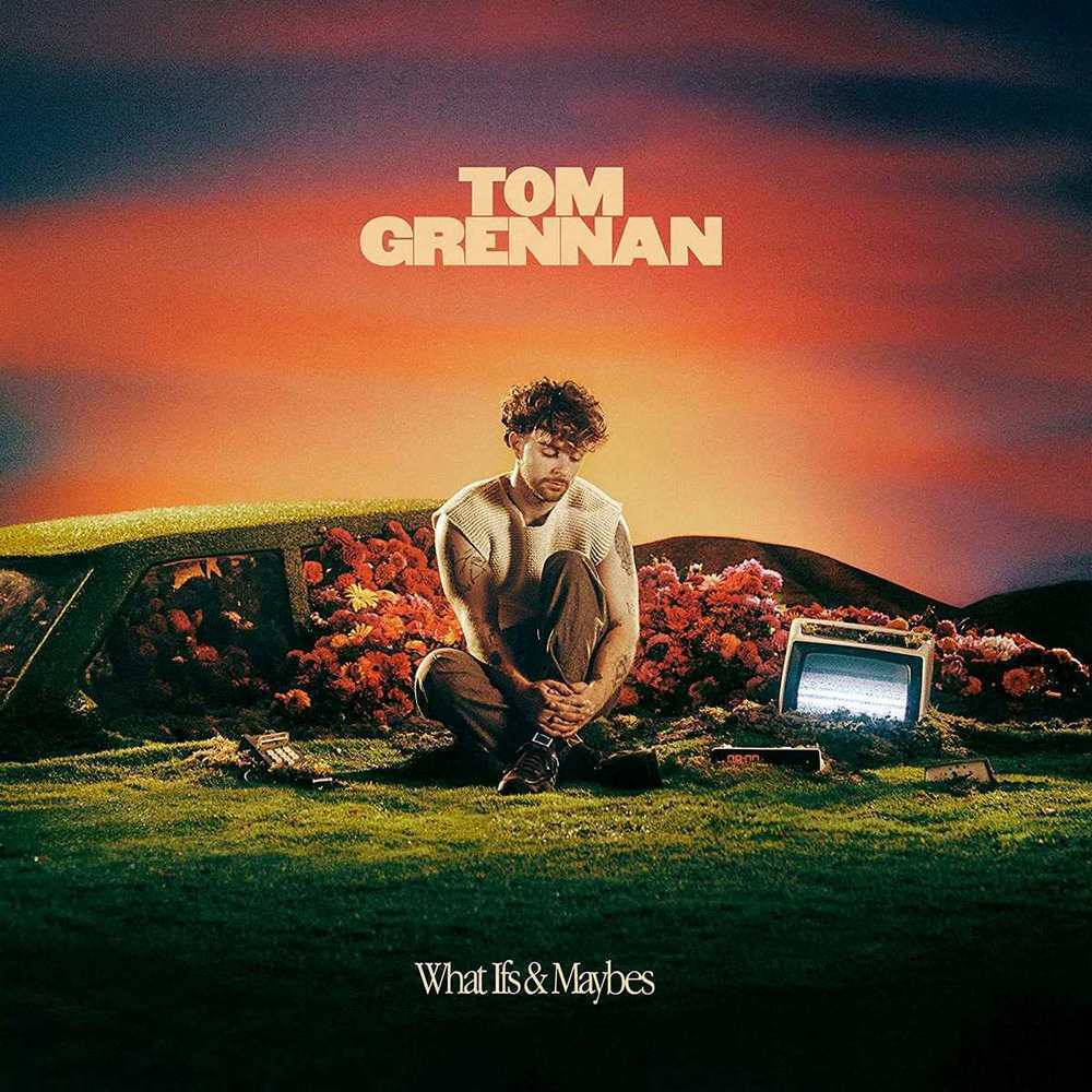What Ifs and Maybes by Tom Grennan (CD, 2023, Insanity) for sale online | eBay UK