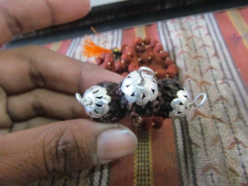 Rare Original trijuti Tridave Brahma Vishnu Mahesh Mukhi Java Beads ...