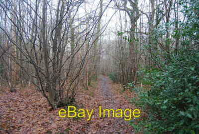 Photo 6x4 Footpath through Brotherhood Wood Blean The ancient woodland ...