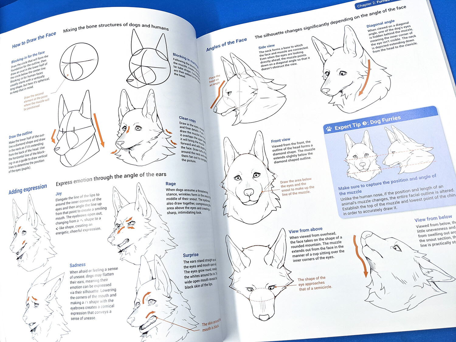 How to Draw Manga Furries Guide ENGLISH Art Book Furry Anthropomorphic ...