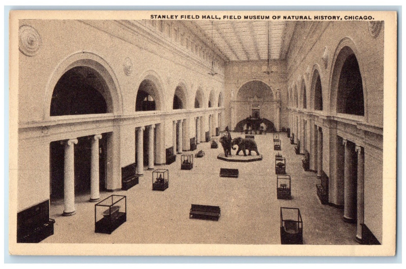 1921 Stanley Field Hall Field Museum Of Natural History Chicago IL ...