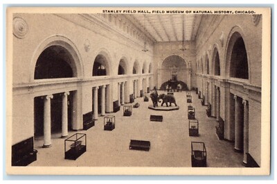 1921 Stanley Field Hall Field Museum Of Natural History Chicago IL ...