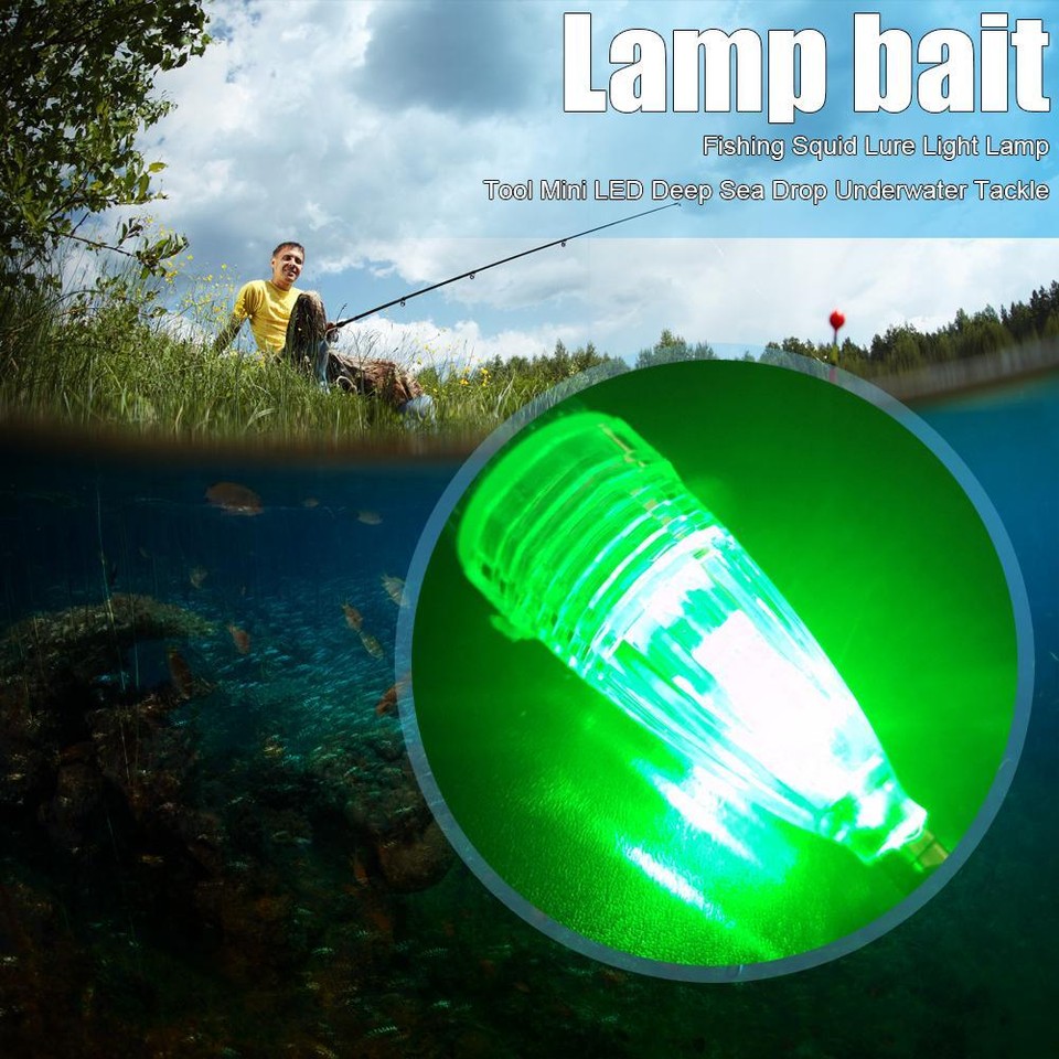 Button Battery Operated LED Underwater Light Fishing Lure Bait Lamp ...