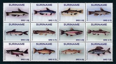 [SU2266] Suriname 2017 Marine life fish MNH | eBay