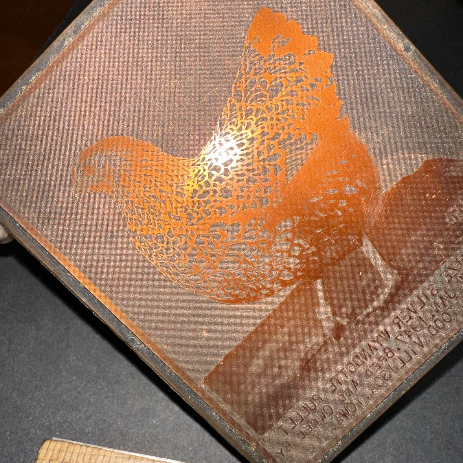 Printing Block “ First Prize Silver Wyandotte Pullet “ Boston Show 1947 ...